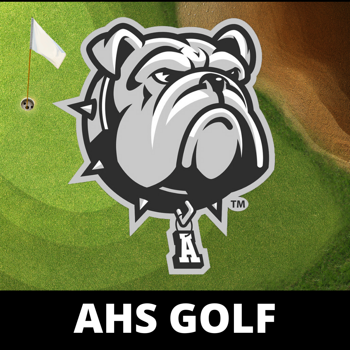 Bulldog golf competes at BVC meet | Ada Icon