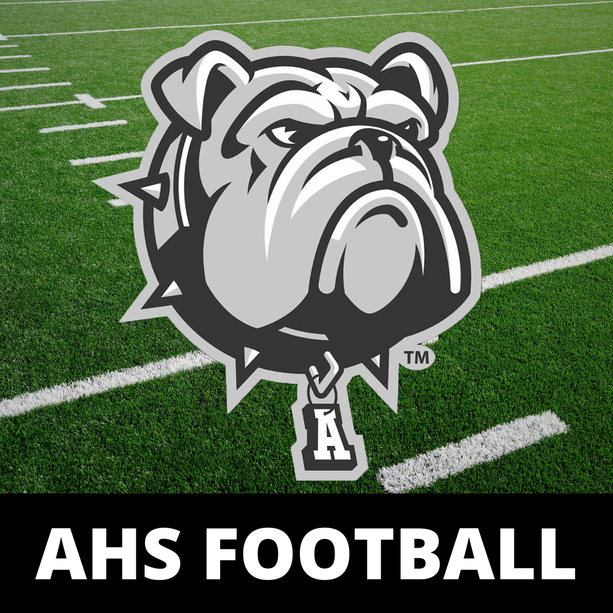 Bulldog football felled by Leipsic in season finale | Ada Icon