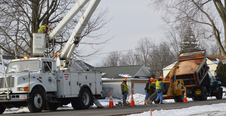 Less leaves to rake | Ada Icon