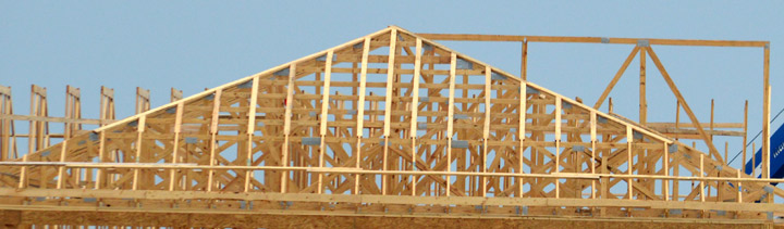 It's a bridge, it's a rib cage...it's... | Ada Icon