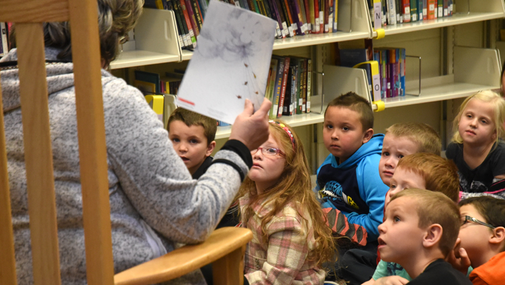 Let's read a story | Ada Icon