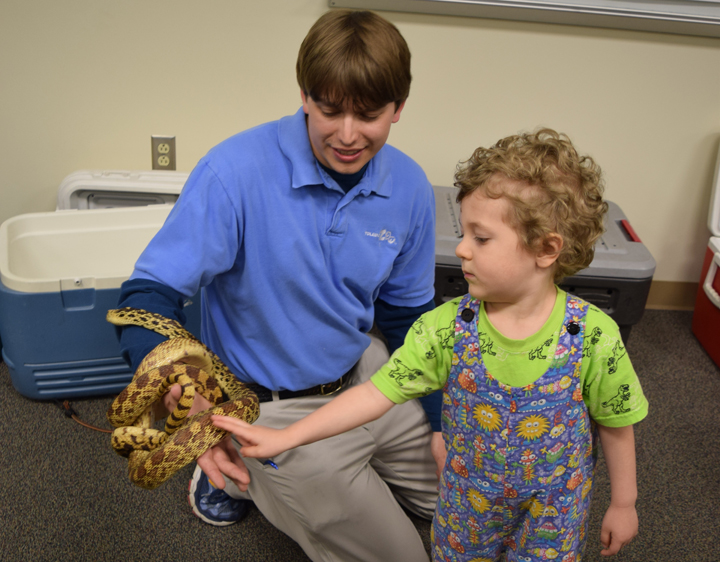 How to pet a snake | Ada Icon