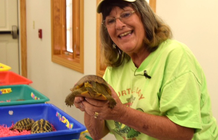 The Turtle Lady visits the library | Ada Icon