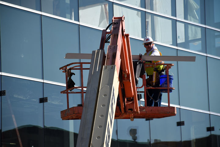 Sight-seer | Ada Icon