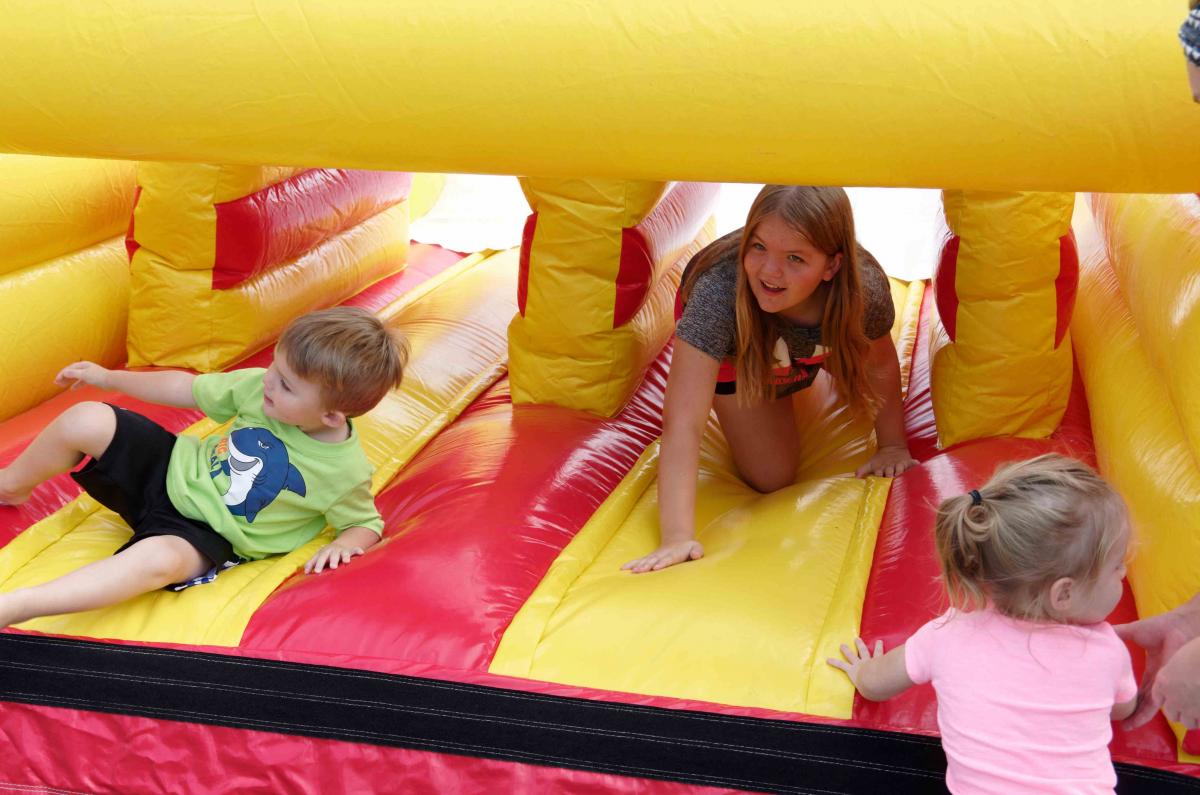 Having way too much fun | Ada Icon