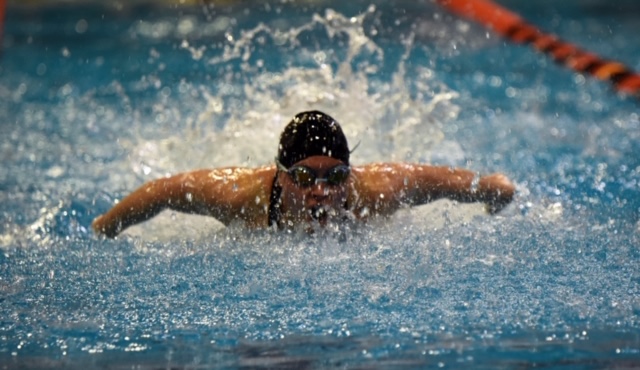 State-bound | Ada Icon