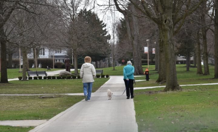 Nice day for a stroll | Ada Icon