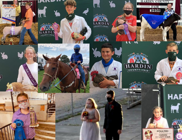 Ada fair perspective | Ada Icon