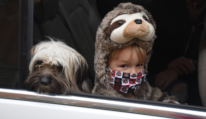 Dog and sloth show | Ada Icon