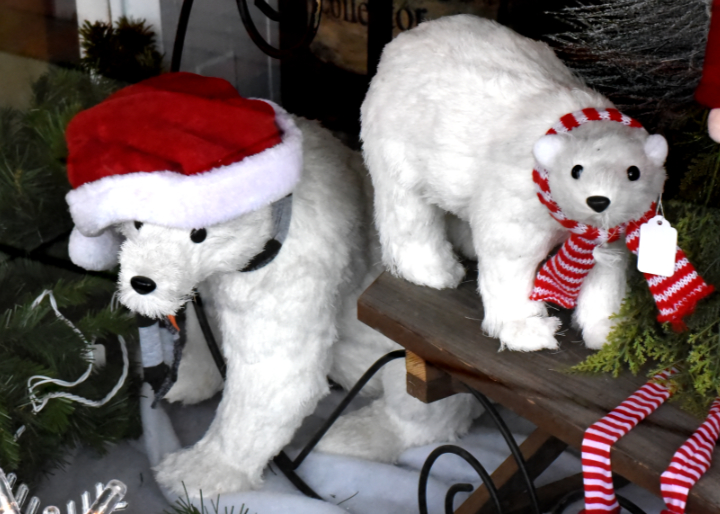 Ada - polar bear capital of Ohio | Ada Icon