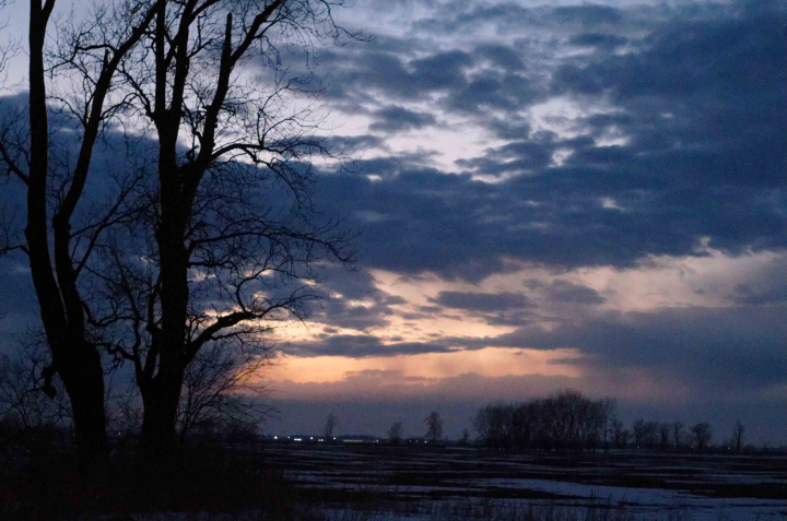 The marsh at dusk | Ada Icon