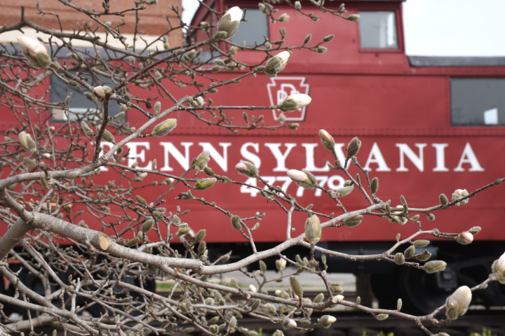 Spring is busting out | Ada Icon