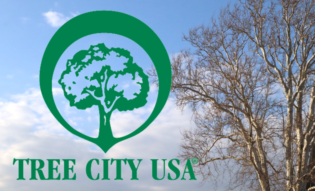 Tree City USA recognition 2021 | Ada Icon