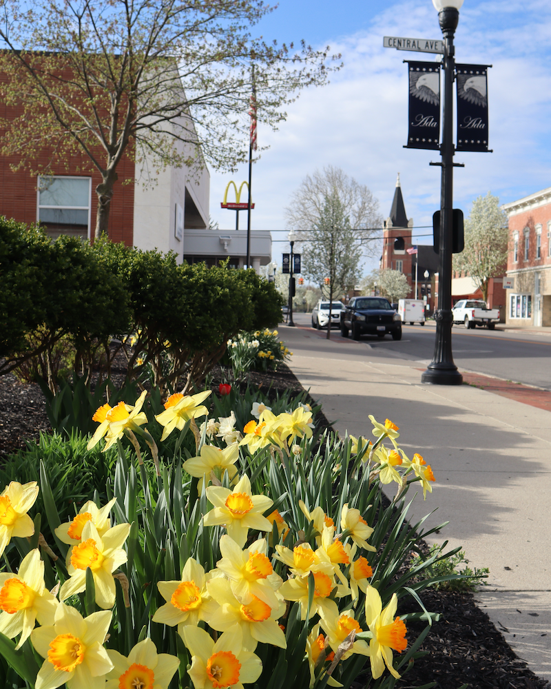 Balmy weather, interrupted | Ada Icon