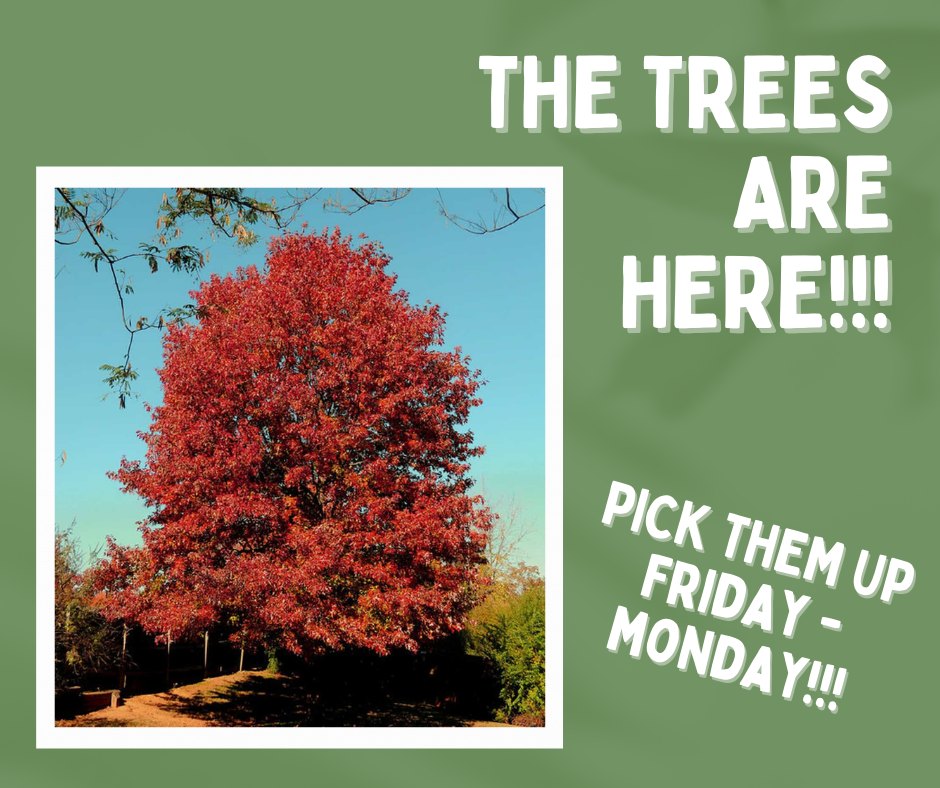 Ada Icon | Where Ada gets its news!