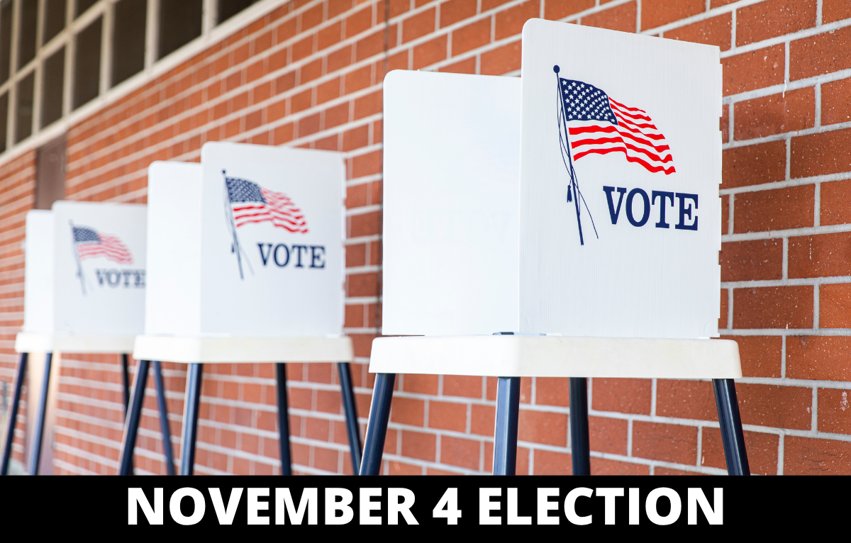 Village, school district and township races on Nov. 4 ballot | Ada Icon