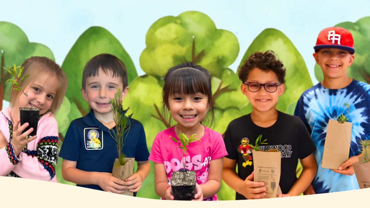 Three ways to help grow a Neighborhood Forest | Ada Icon