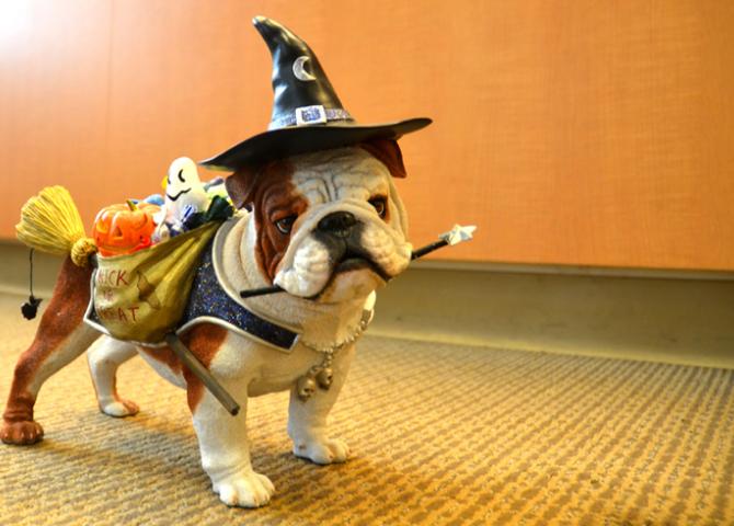 Ada Icon | Where Ada gets its news!