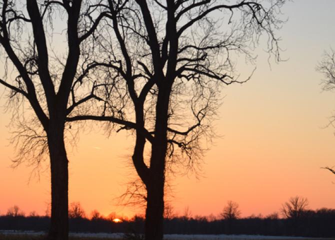 Ada Icon | Where Ada gets its news!