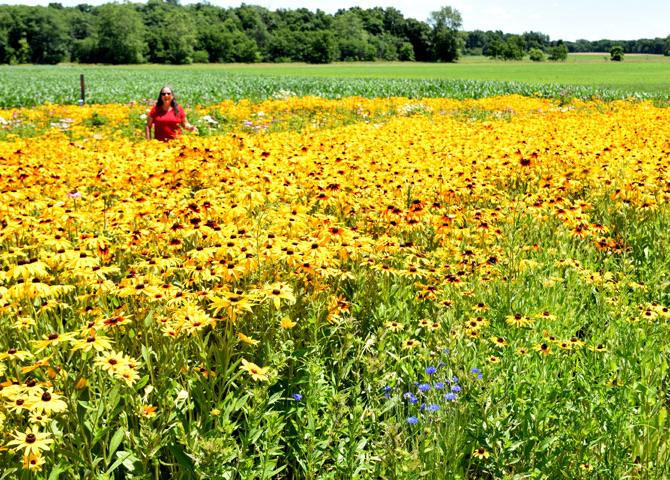 Ada Icon | Where Ada gets its news!